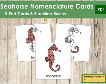 Seahorse Parts - Etsy