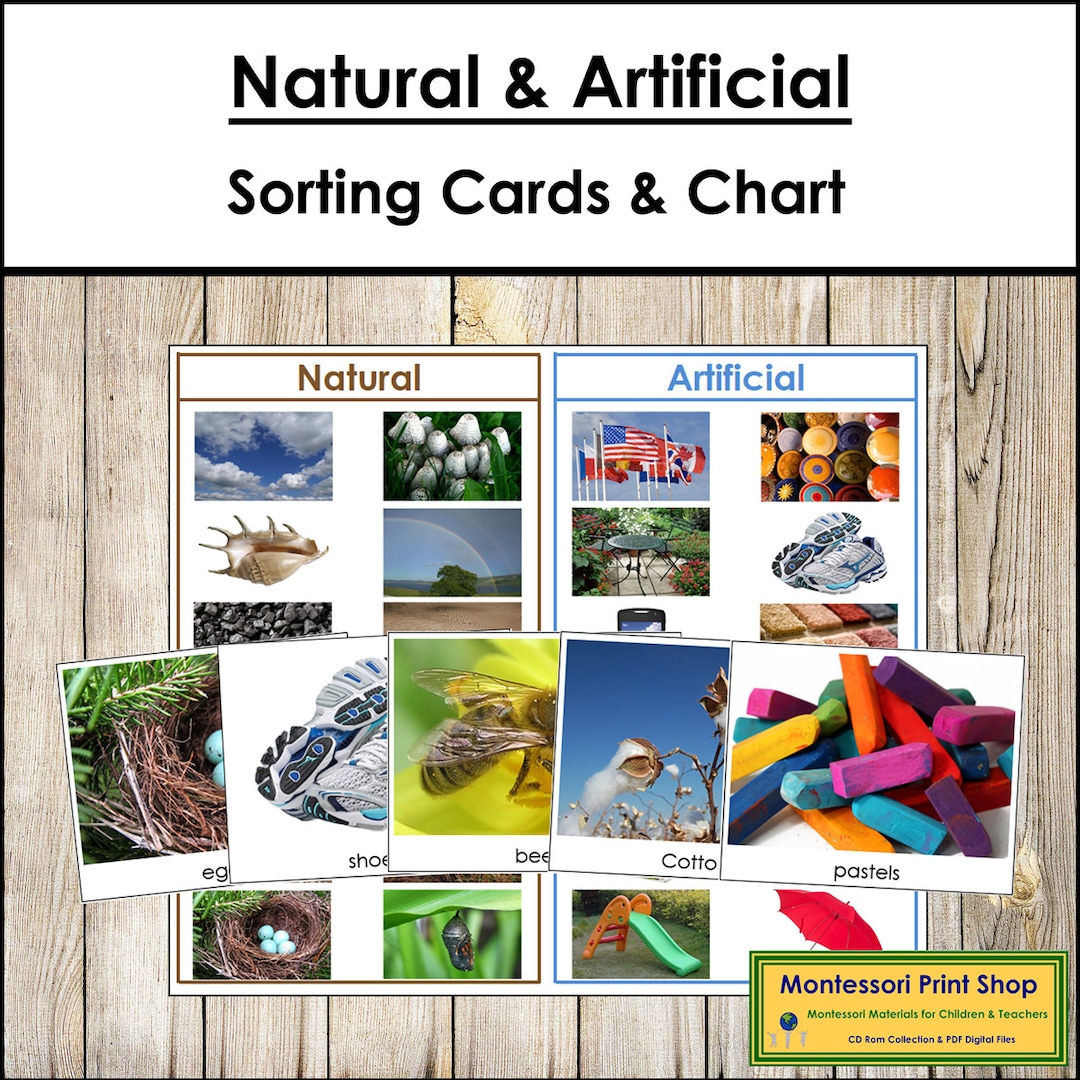 Natural or Artificial Things Sorting Cards & Control Chart - Science ...