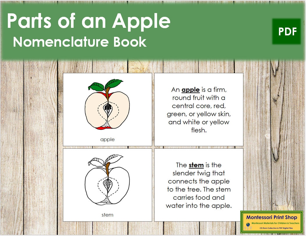 Parts of an Apple Nomenclature Book Botany Printable - Etsy