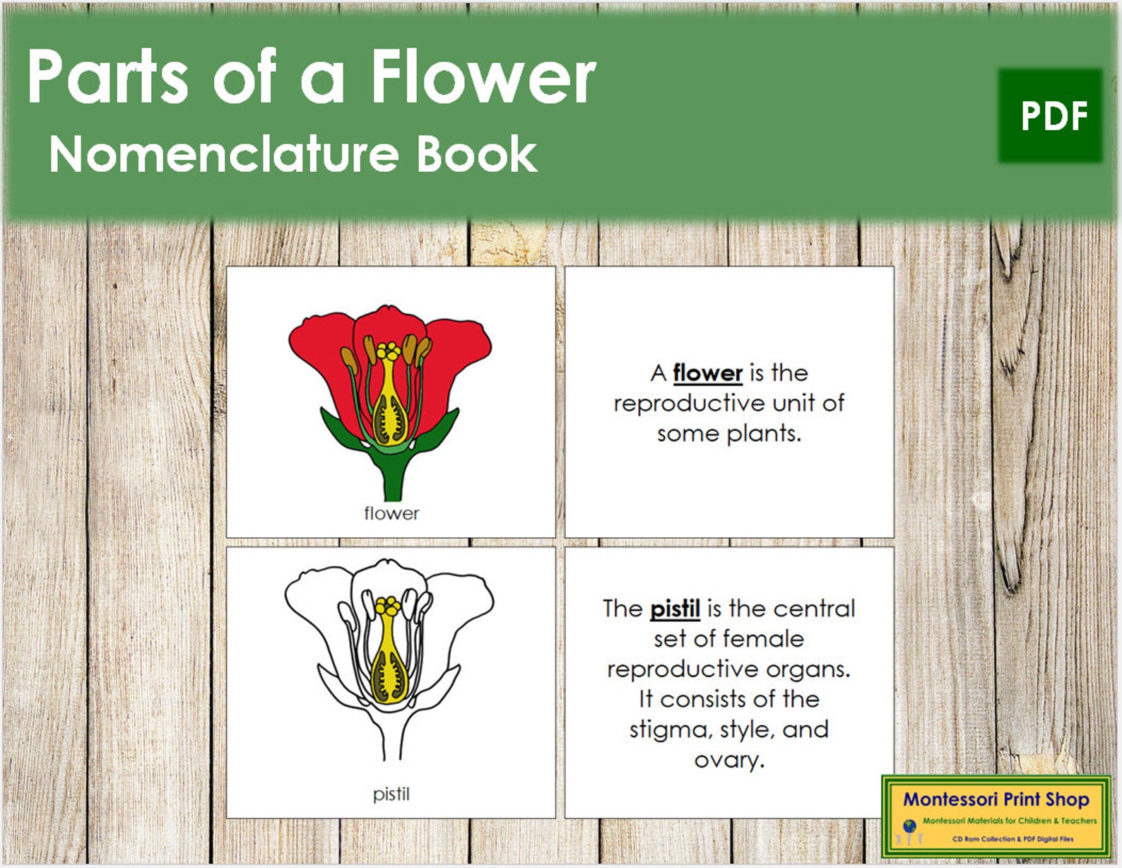 Parts of a Flower Nomenclature Book Montessori Botany - Etsy Canada
