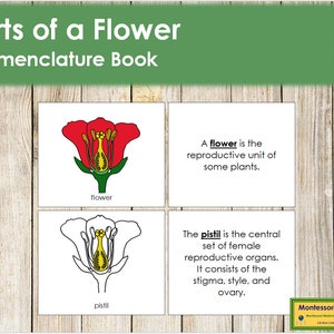 Parts of a Flower Nomenclature Book Montessori Botany - Etsy Canada