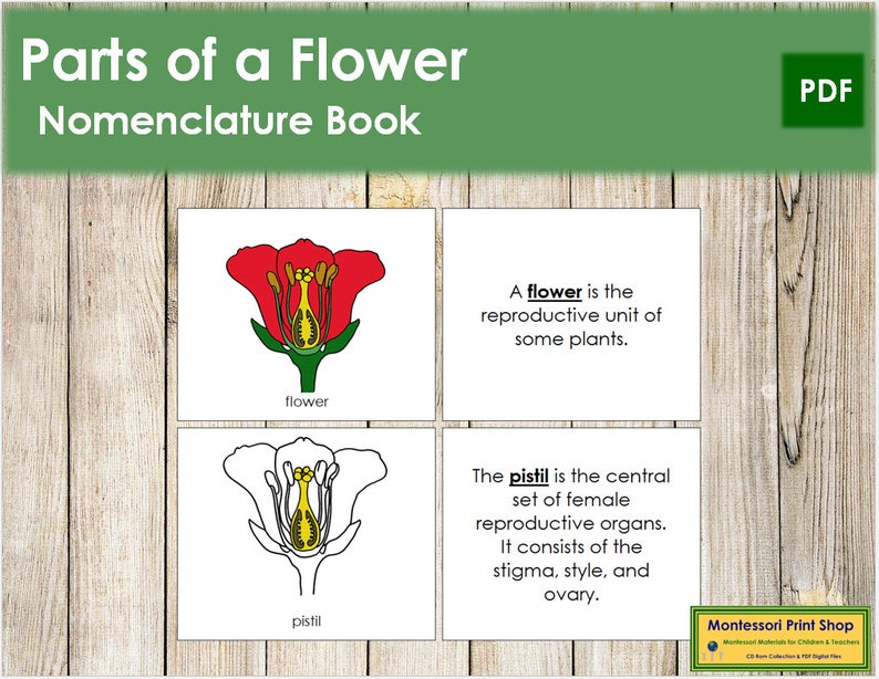 Parts of a Flower Nomenclature Book Montessori Botany - Etsy