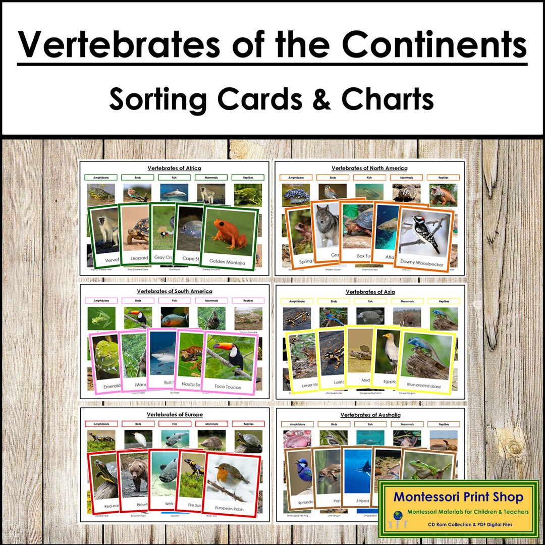 Vertebrates of the Continents Sorting (color-coded) - Montessori ...