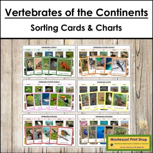 Vertebrates of the Continents Sorting (color-coded) - Montessori ...