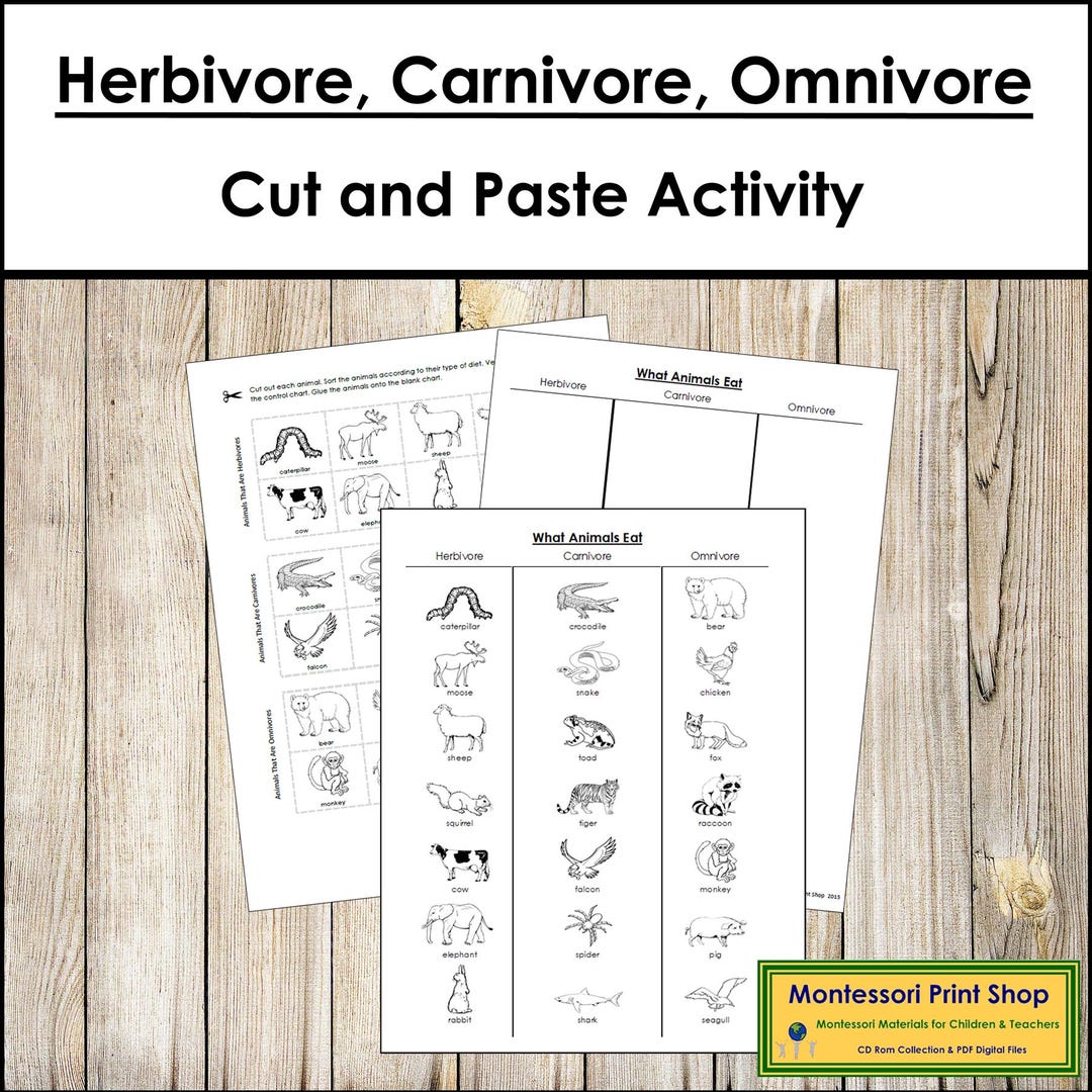 Herbivores, Carnivores and Omnivores Sorting Cut & Paste [blackline ...