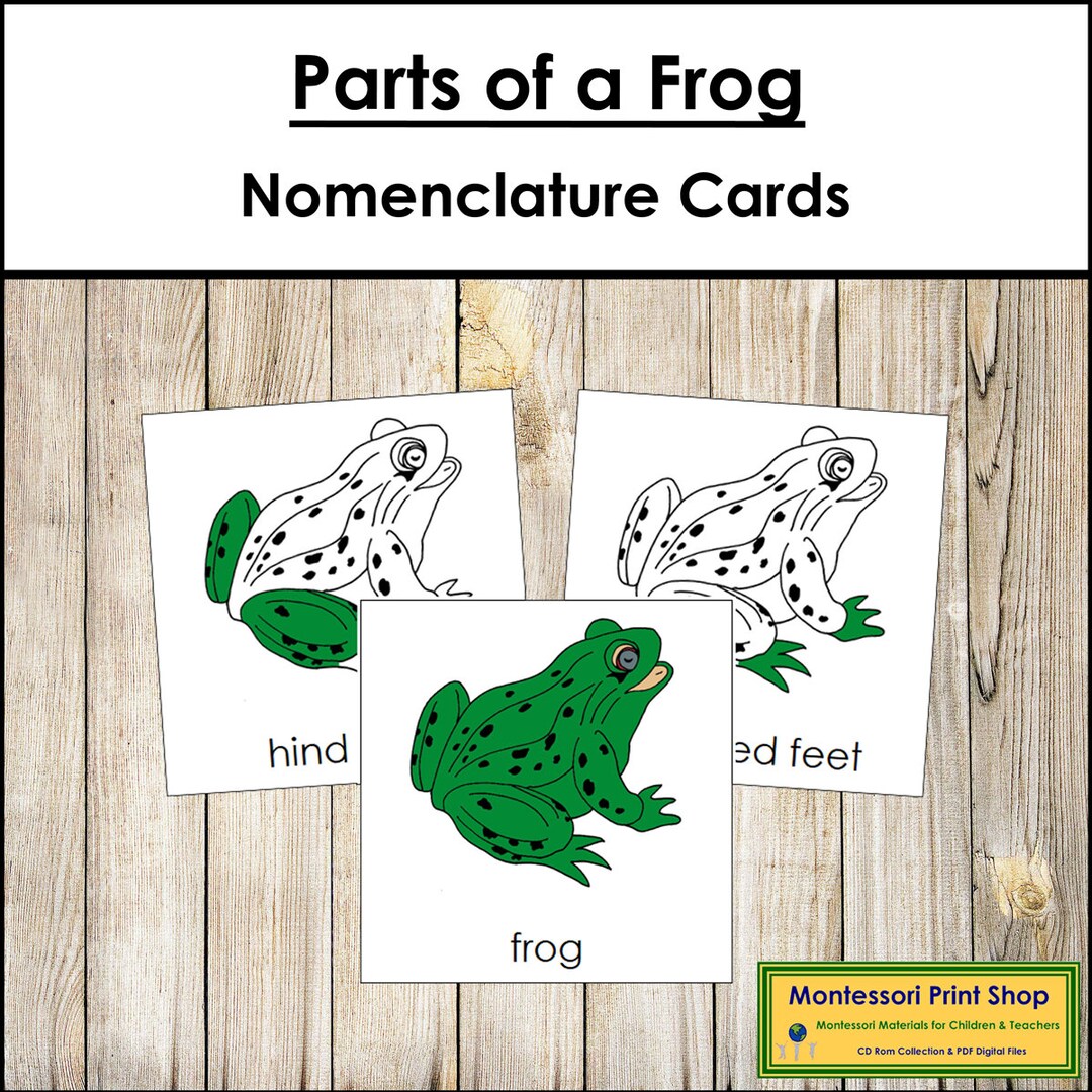 Parts of a Frog Nomenclature 3-part Cards - Montessori Zoology ...