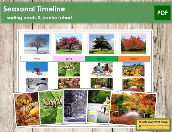 Seasonal Timeline Sorting Cards & Control Chart Preschool | Etsy