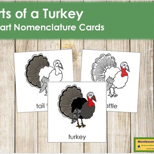 Parts of a Turkey Nomenclature 3-part Cards Montessori - Etsy
