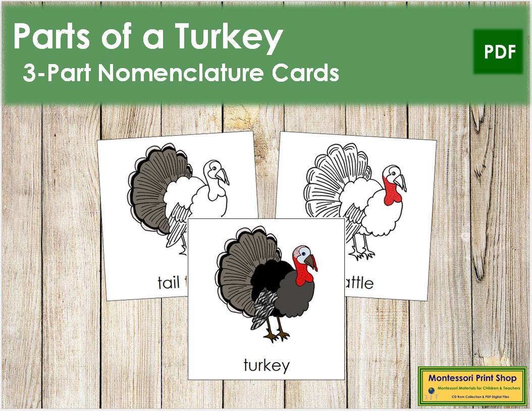 Parts of a Turkey Nomenclature 3-part Cards Montessori - Etsy