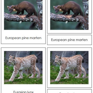 Europe Continent Bundle - Geography - Printable Montessori Cards ...