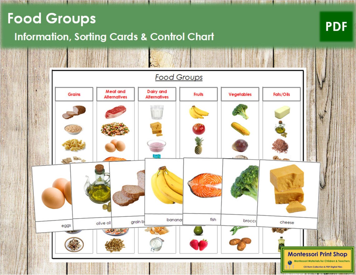 Food Groups Sorting Cards & Control Charts Printable | Etsy Canada