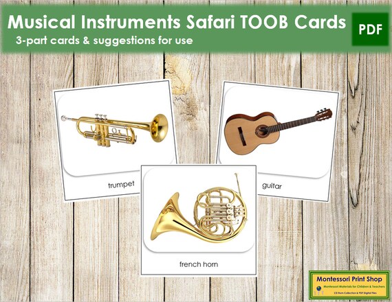 Musical Instruments Safari TOOB Cards Printable Montessori | Etsy