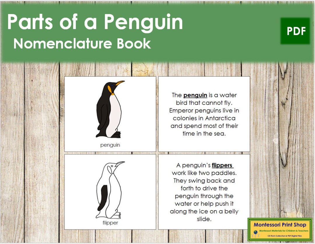 Parts of a Penguin Nomenclature Book Montessori Zoology - Etsy
