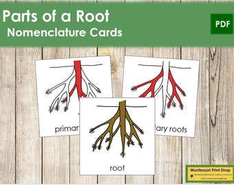 Montessori 3 Part Cards Parts of a Tree - Etsy
