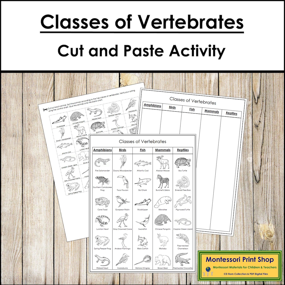 Classes of Vertebrates Sorting Cut & Paste [blackline Masters ...