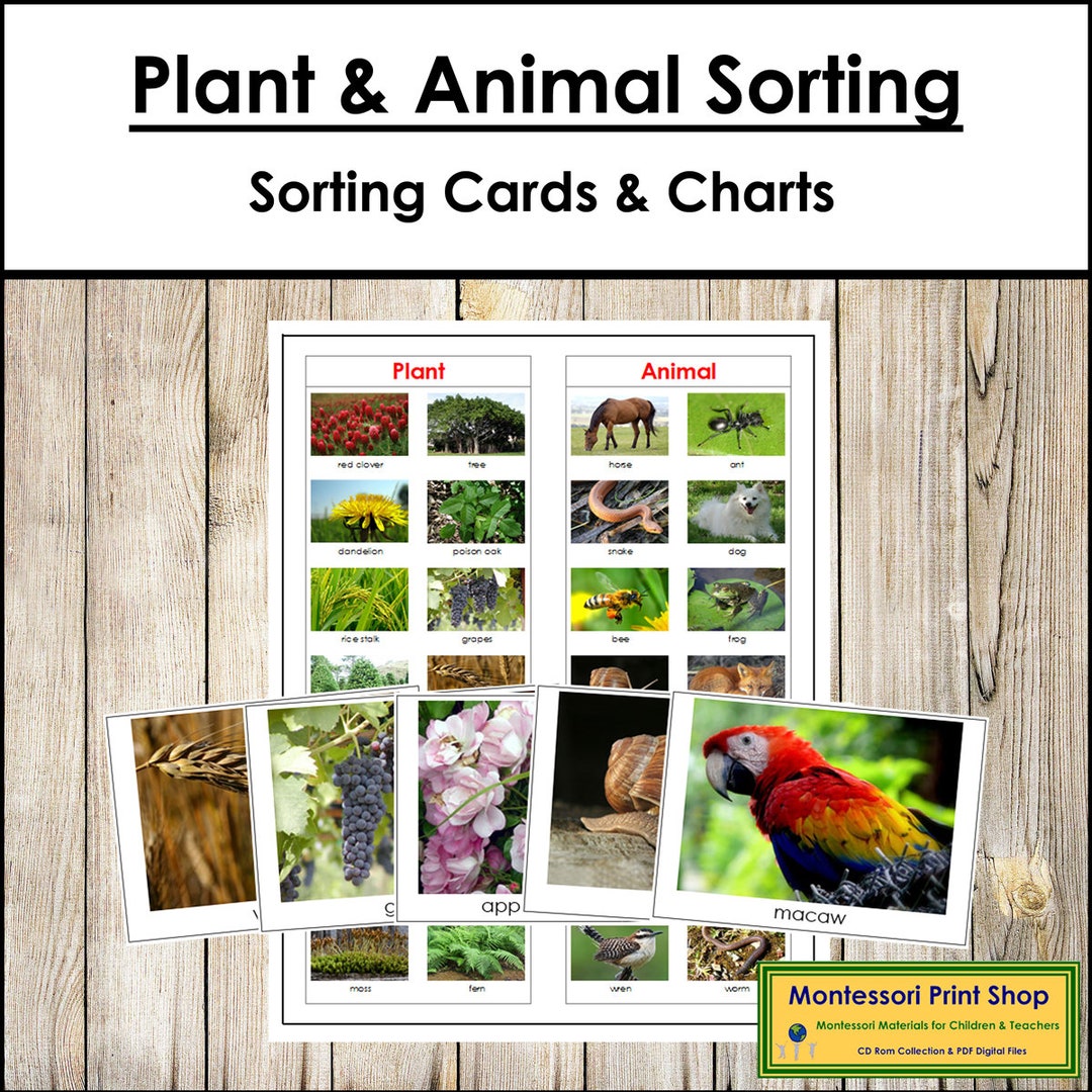 Plant and Animal Sorting Cards & Control Chart - Science - Printable ...