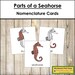 Parts of a Stem Nomenclature 3-part Cards Montessori Botany Printable ...