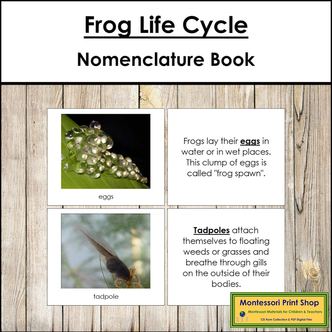 The Frog Life Cycle Book - Montessori Nomenclature - Printable ...