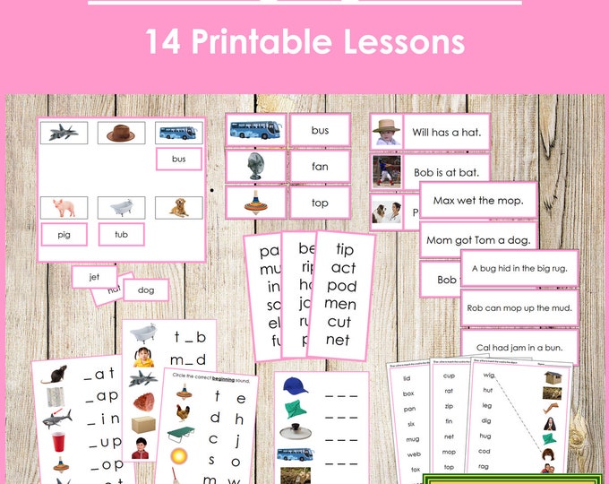 Montessori Pink Language Series - Etsy