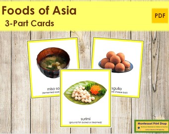 Flags of Asia color-coded Montessori Continent Cards - Etsy