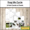Flags of Asia (color-coded) - Montessori Continent Cards - Geography ...