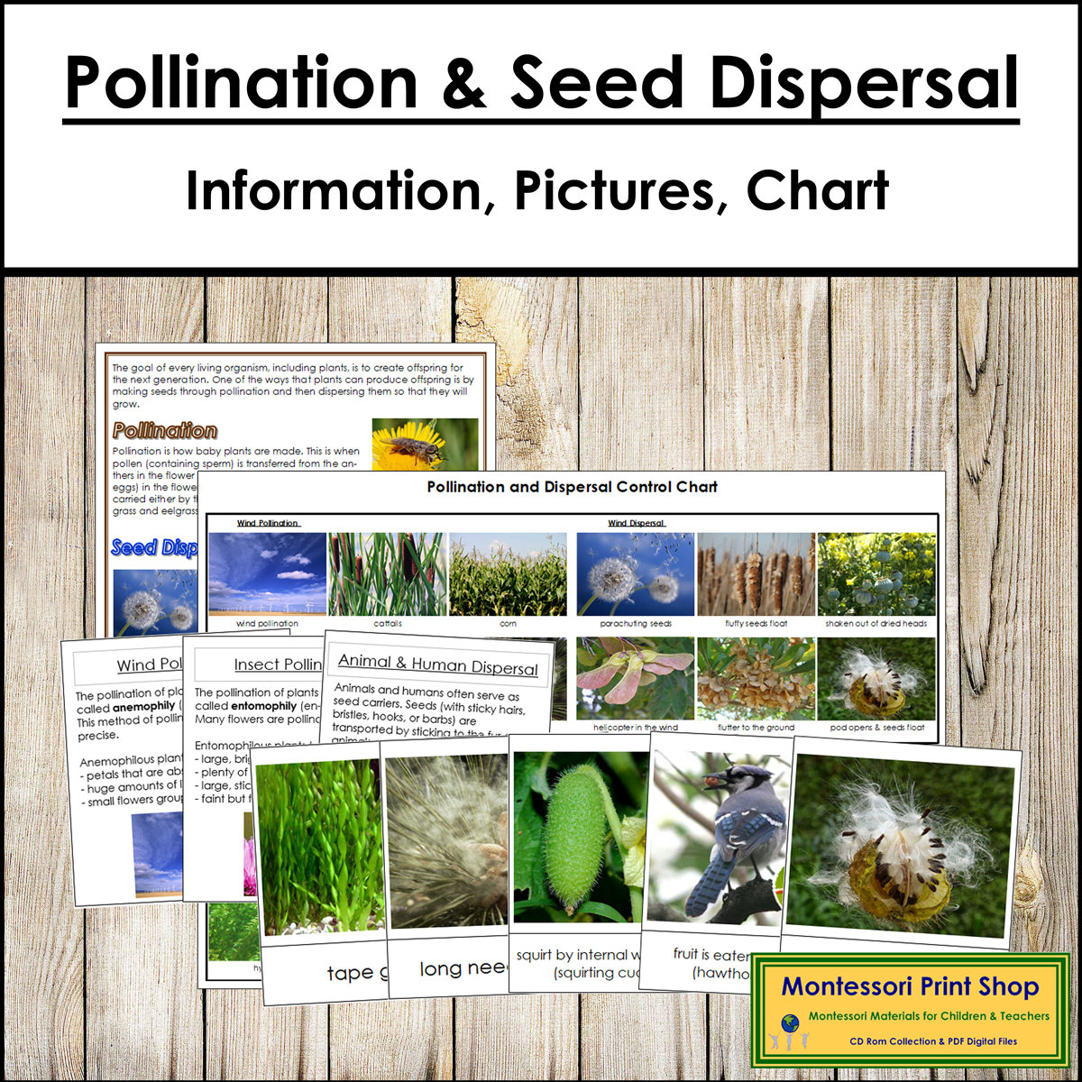Seed Dispersal By Animals Clipart Png
