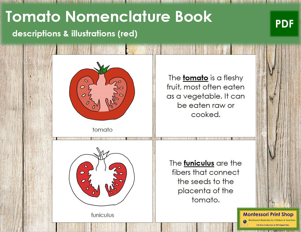 Parts of a Tomato Nomenclature Book Montessori Botany | Etsy Australia