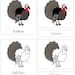 Parts of a Turkey Nomenclature 3-part Cards & Blackline Master ...