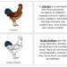 Parts of a Chicken Nomenclature Book - Montessori Zoology - Printable ...