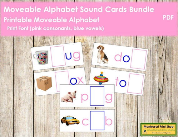 Montessori Moveable Alphabet Sound Cards Bundle Pink/blue | Etsy