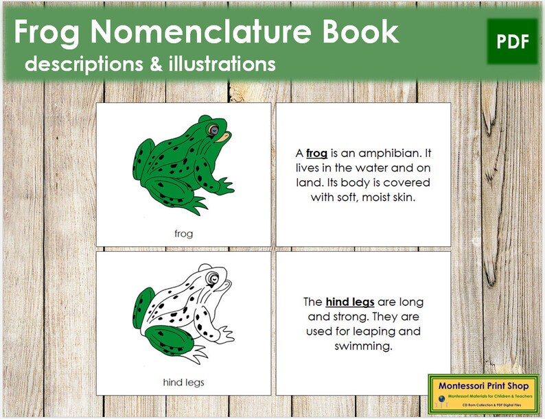 Parts of a Frog Nomenclature Book Montessori Zoology - Etsy