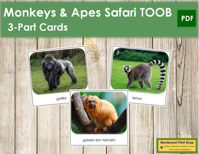 Monkeys & Apes Safari TOOB Cards Printable Montessori Cards - Etsy