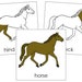 Parts of a Horse Nomenclature 3-part Cards - Montessori Zoology ...