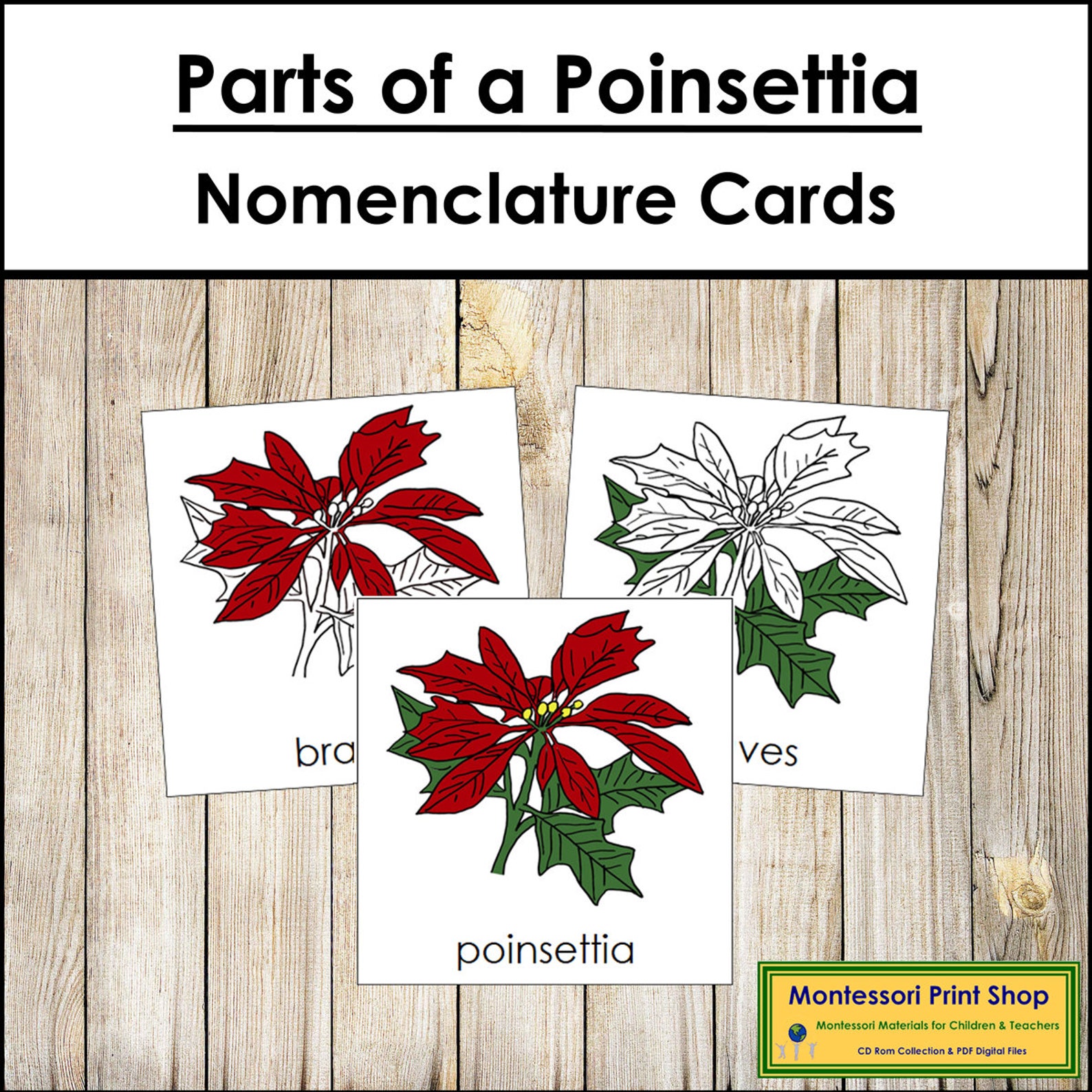 Parts of a Poinsettia Nomenclature 3-part Cards Montessori Botany ...