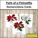 Parts of a Tree Nomenclature 3-part Cards Montessori Botany - Etsy
