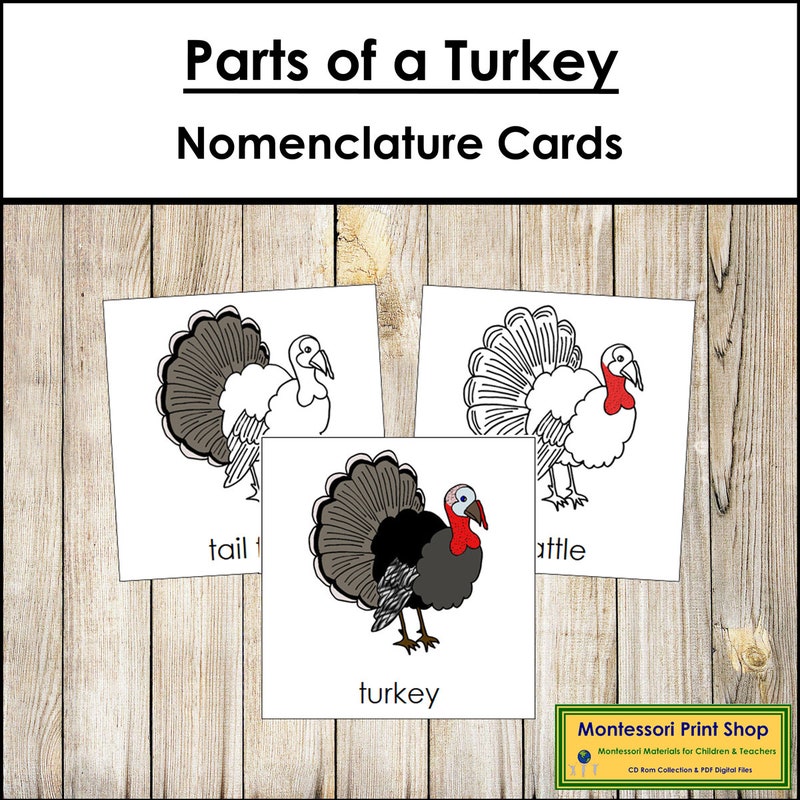 Names of the Turkey Parts - Etsy