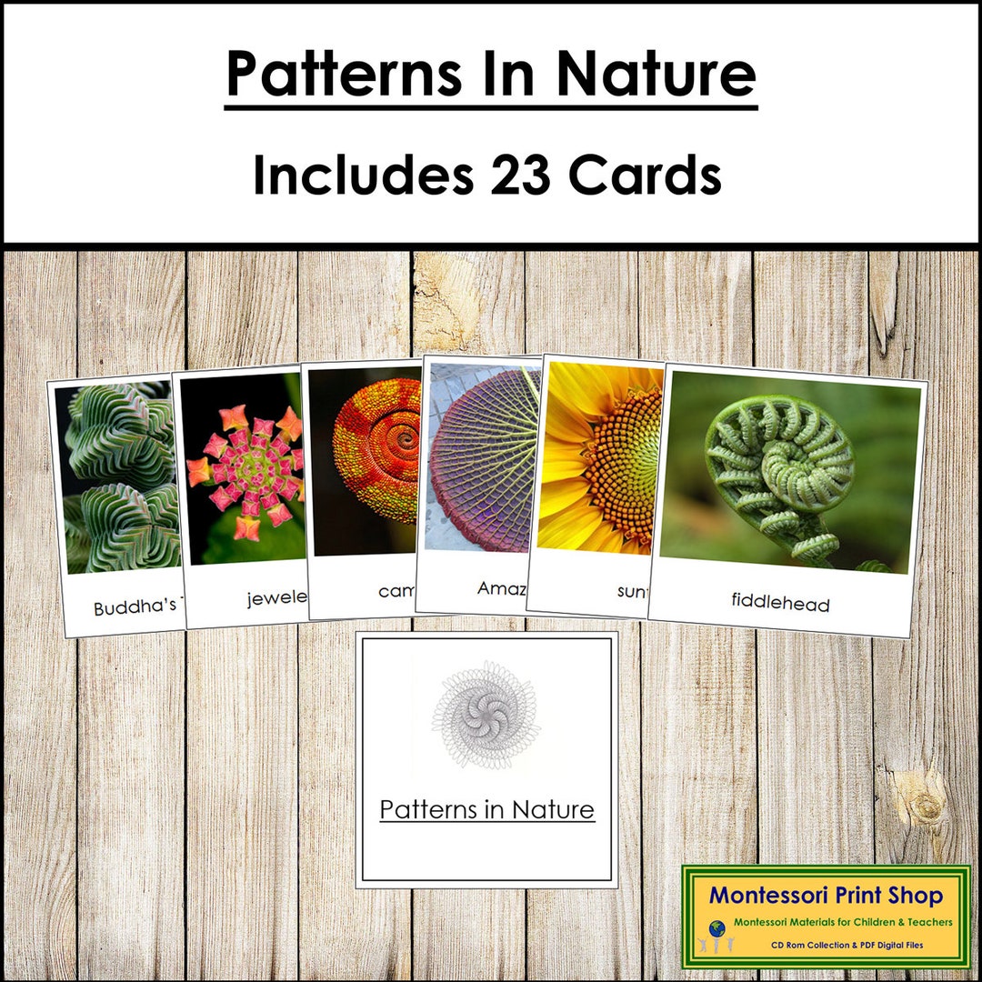 Patterns in Nature Picture Cards - Montessori Geometry & Science ...