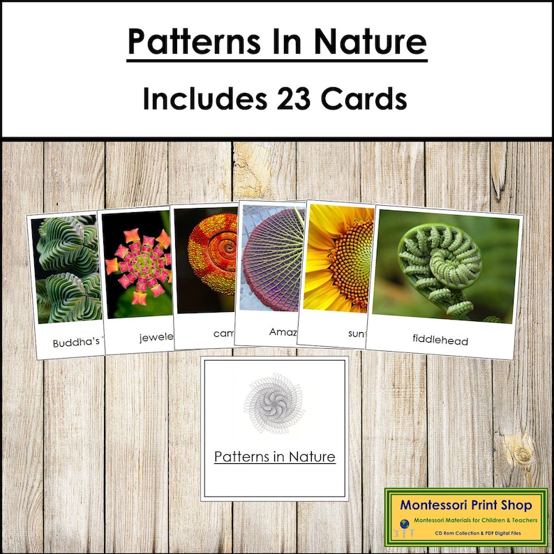 Patterns in Nature Picture Cards Geometry/science Printable Montessori ...