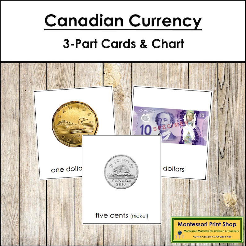 Canadian Currency Cards Printable Montessori Cards Digital Download - Etsy