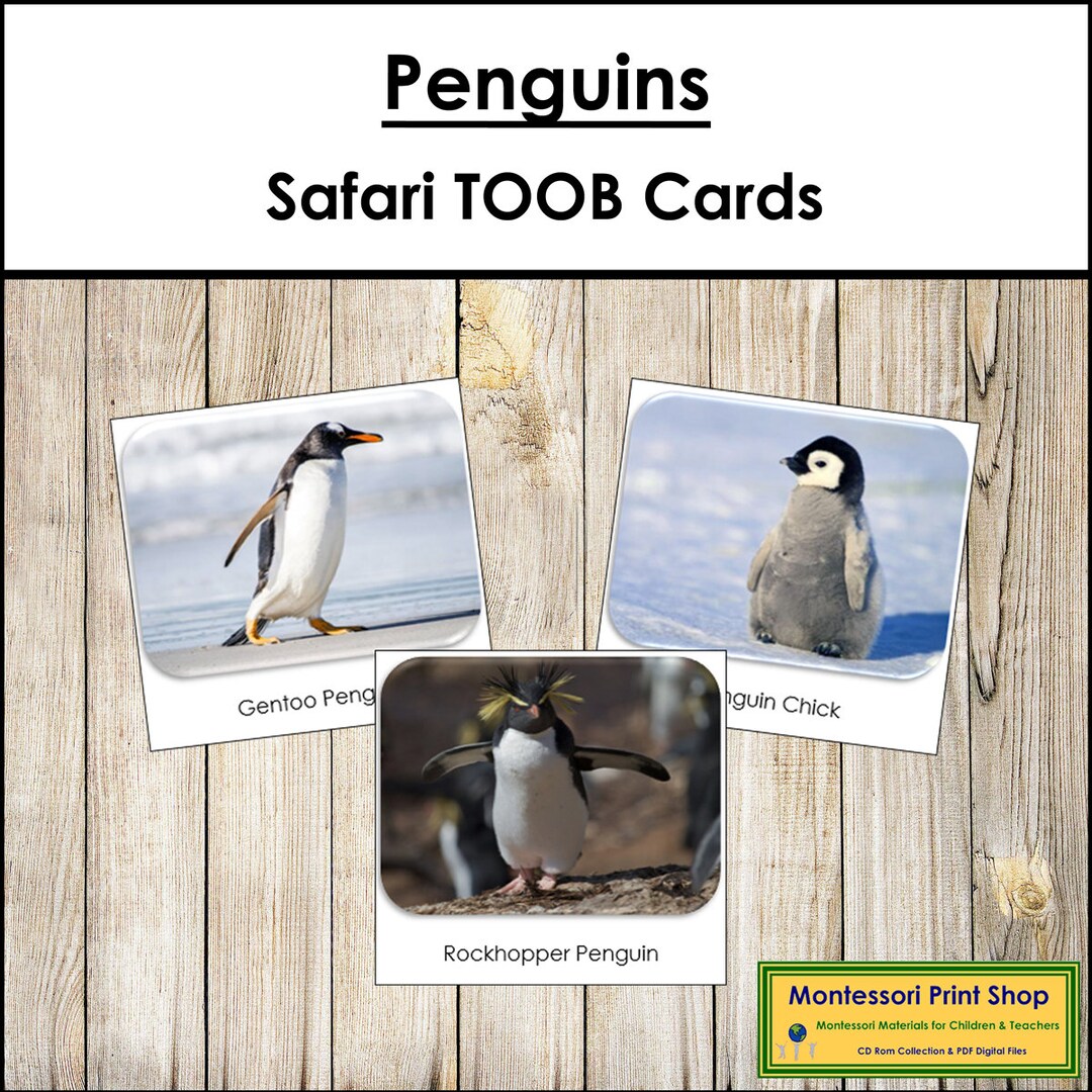 Penguins Safari TOOB Cards - Printable Montessori Cards - Digital ...