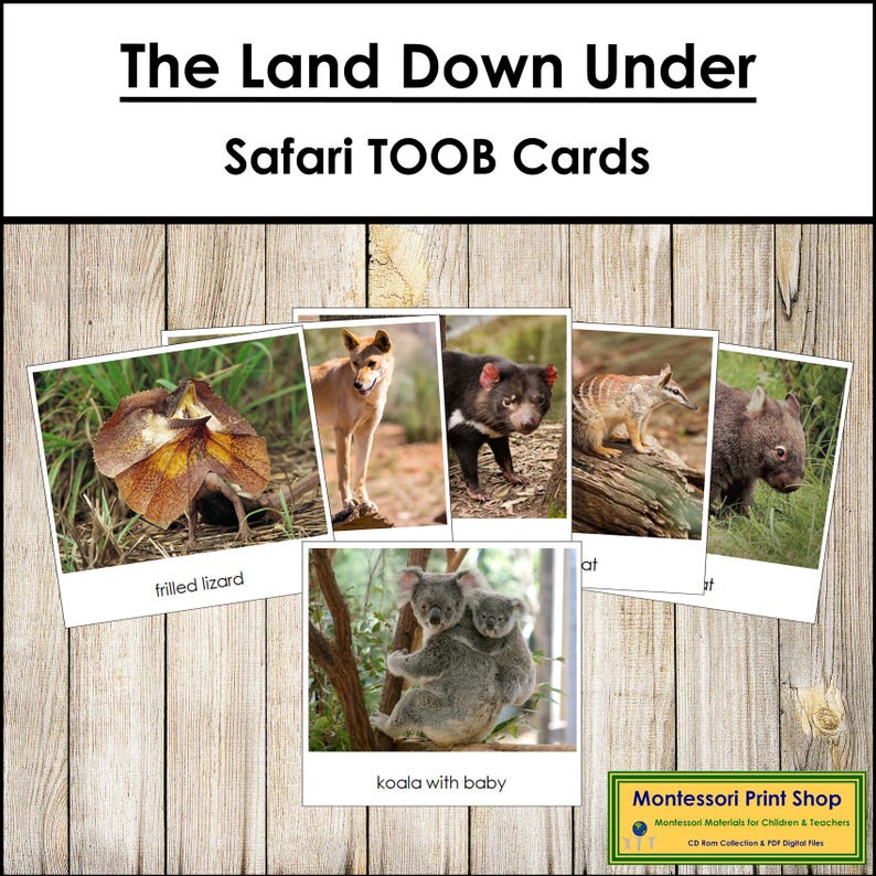The Land Down Under Safari TOOB Cards - Montessori 3-part Cards ...