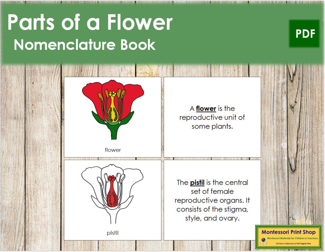 Buy Parts of a Flower Nomenclature Book RED Montessori Botany Online in ...