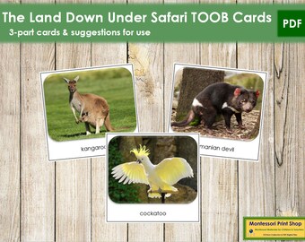 Down Under Cards - Etsy