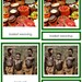 Culture of Africa color-coded Montessori Continent Cards Geography ...
