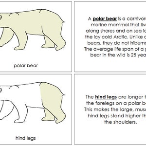 Parts of a Polar Bear Nomenclature Book - Montessori Zoology ...