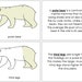 Parts of a Polar Bear Nomenclature Book - Montessori Zoology ...