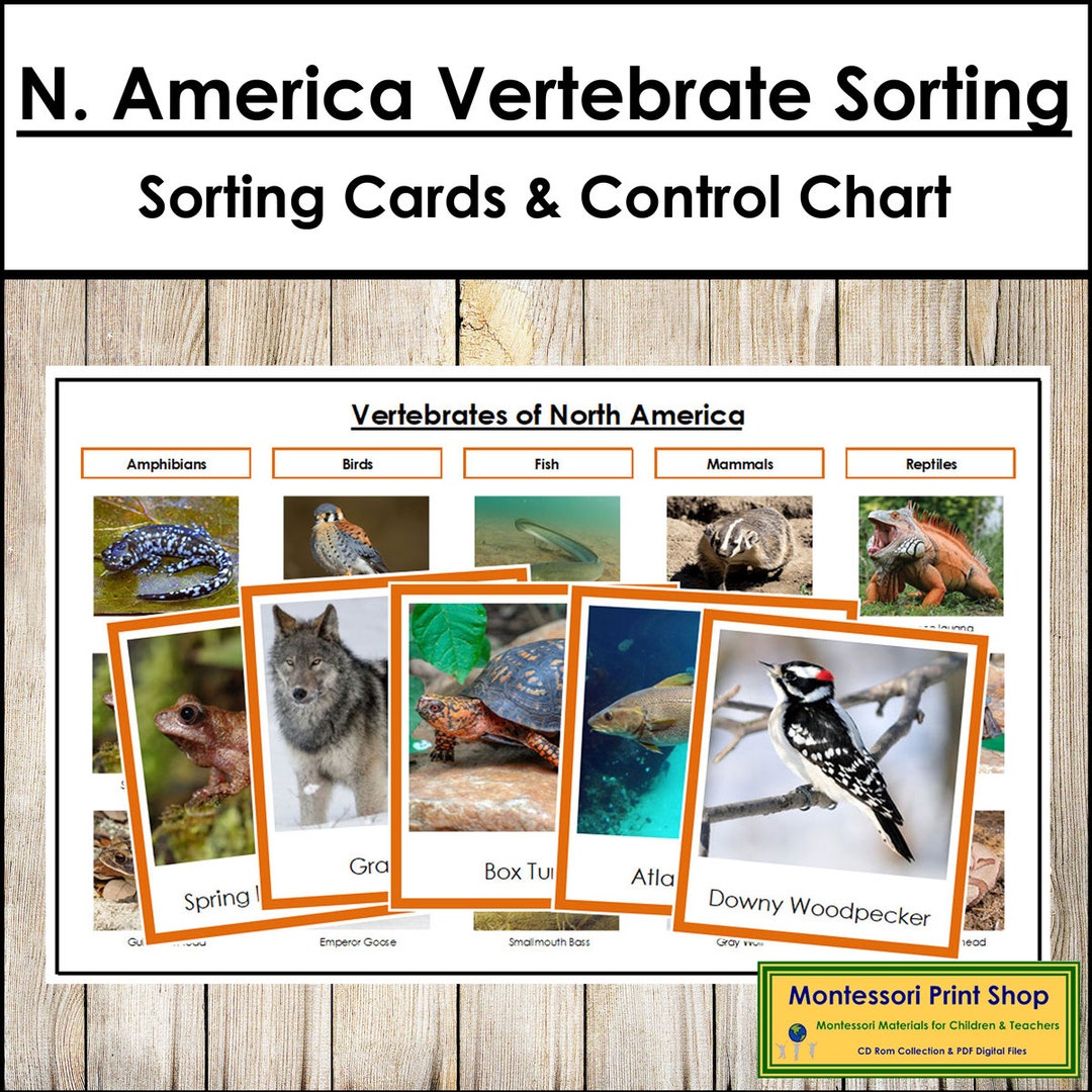 Montessori Vertebrates of North America Sorting Cards & Chart [color ...