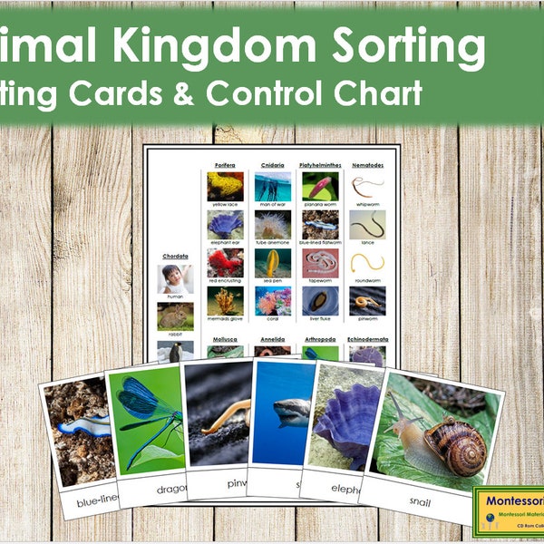 Animal Kingdom Classification Poster - Etsy