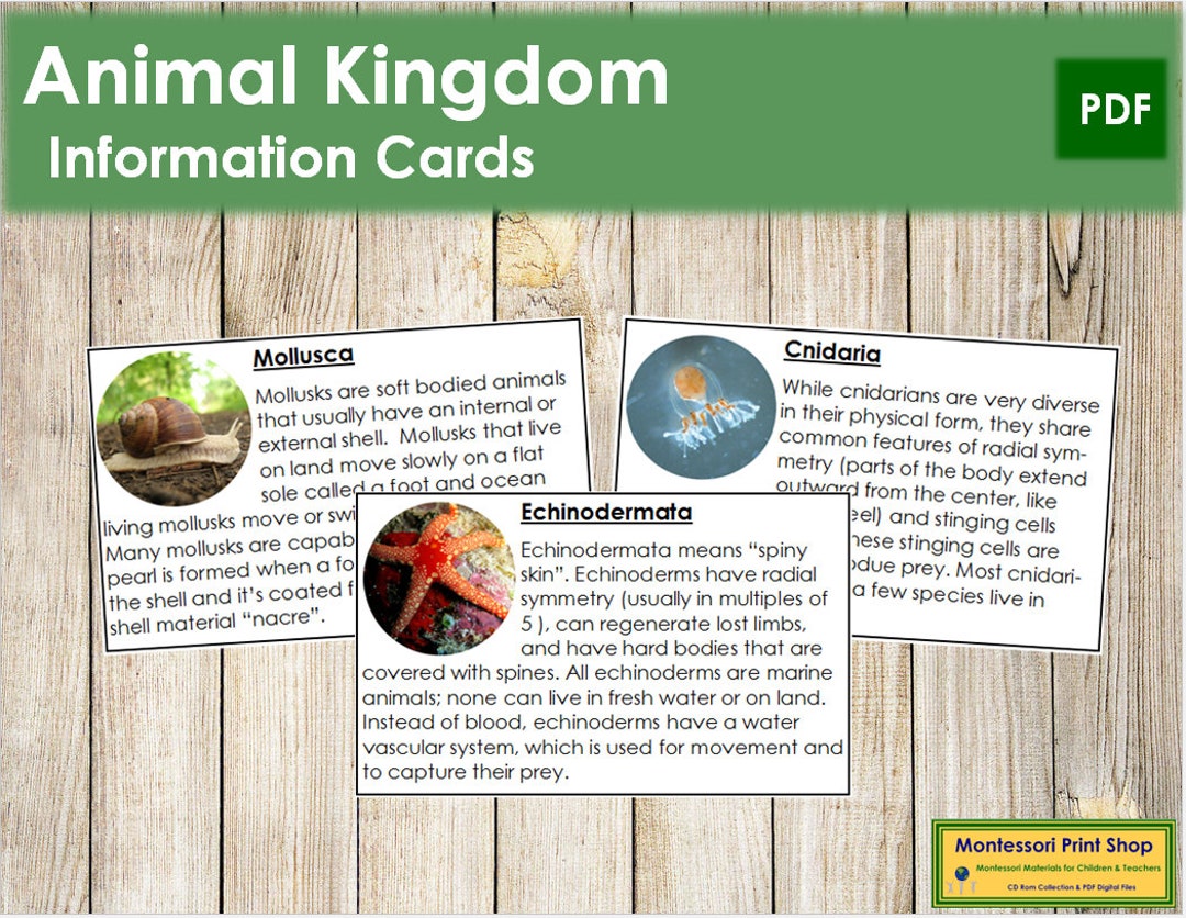 Animal Kingdom Information Cards Montessori Zoology - Etsy
