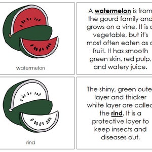 Parts of a Watermelon Nomenclature Book Botany Printable Montessori ...